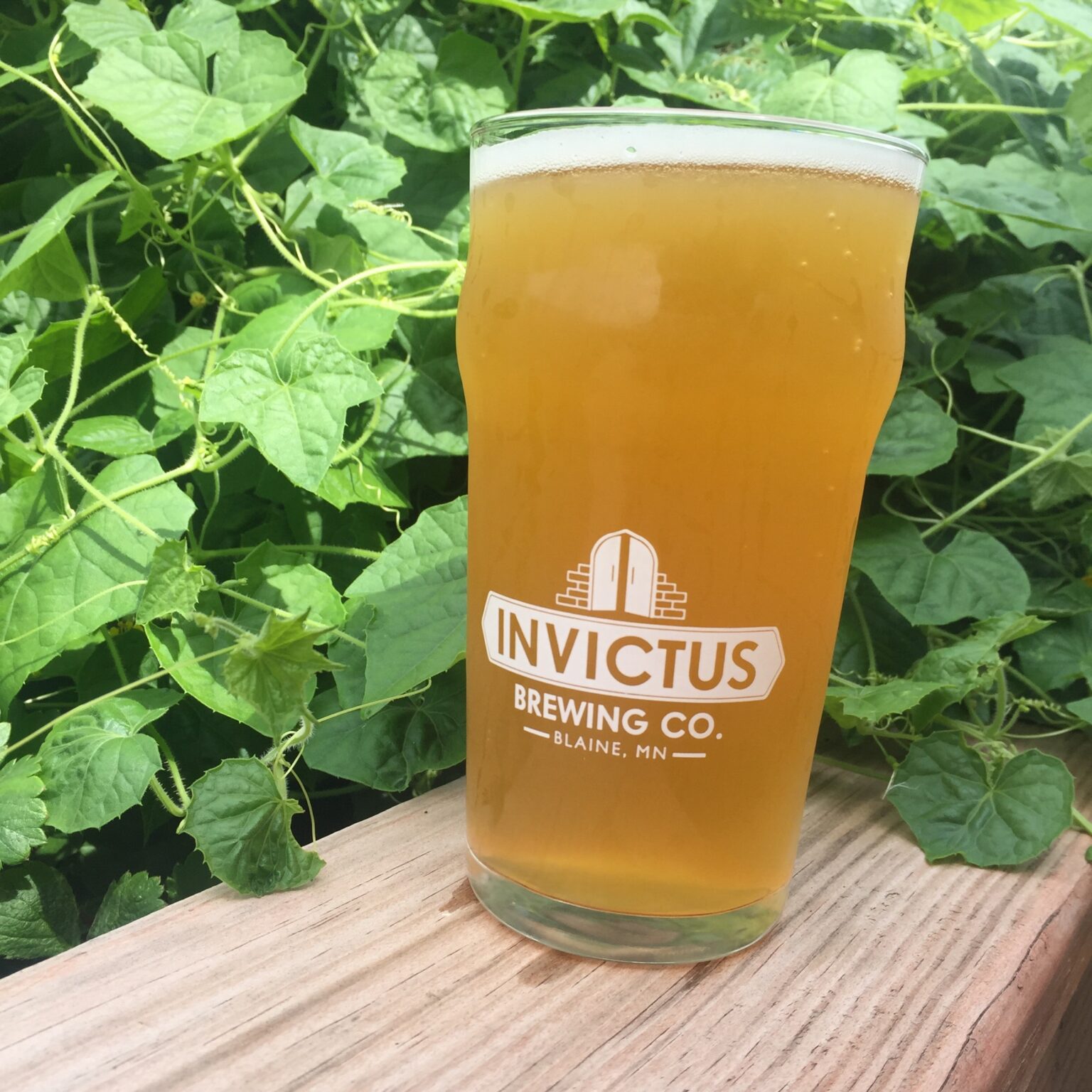 Our Beers – Invictus Brewing Co.