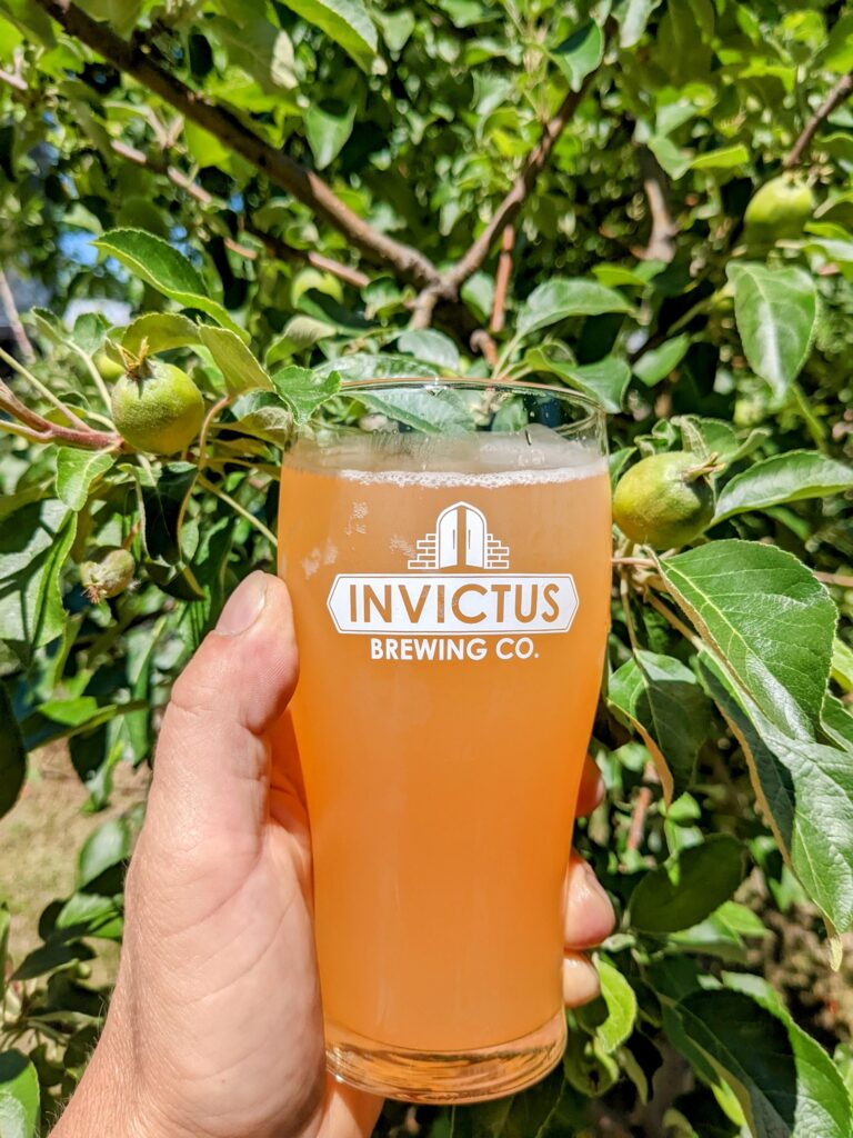Our Beers – Invictus Brewing Co.