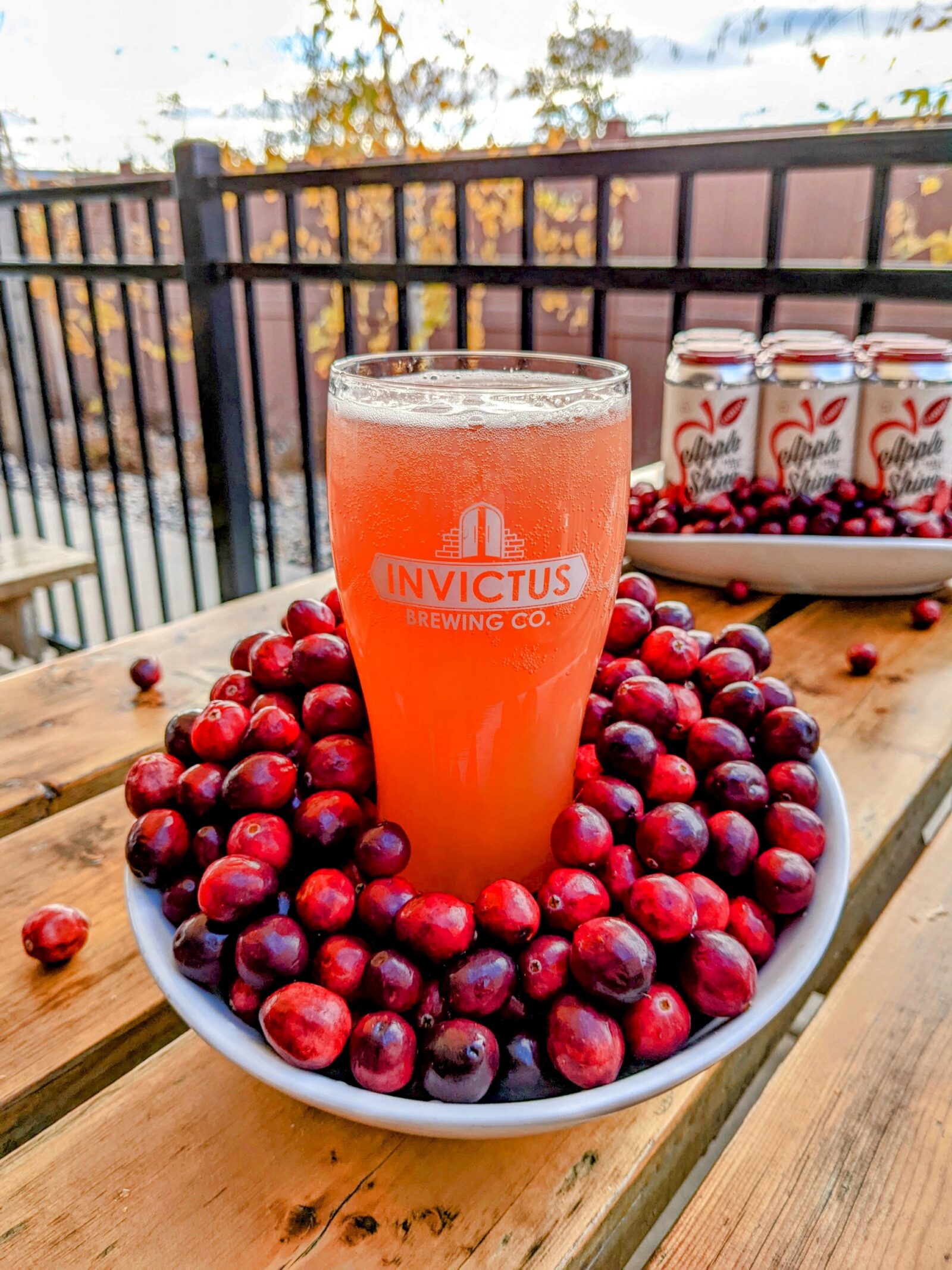 Our Beers – Invictus Brewing Co.