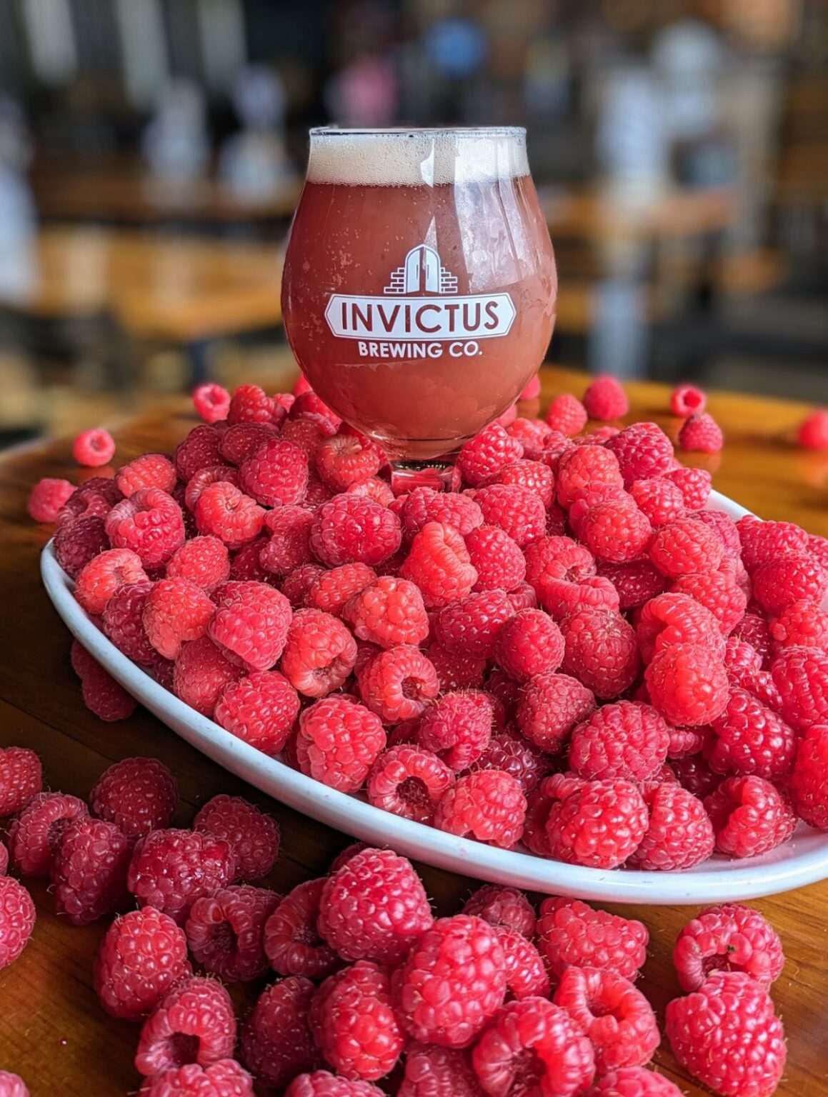 Our Beers – Invictus Brewing Co.