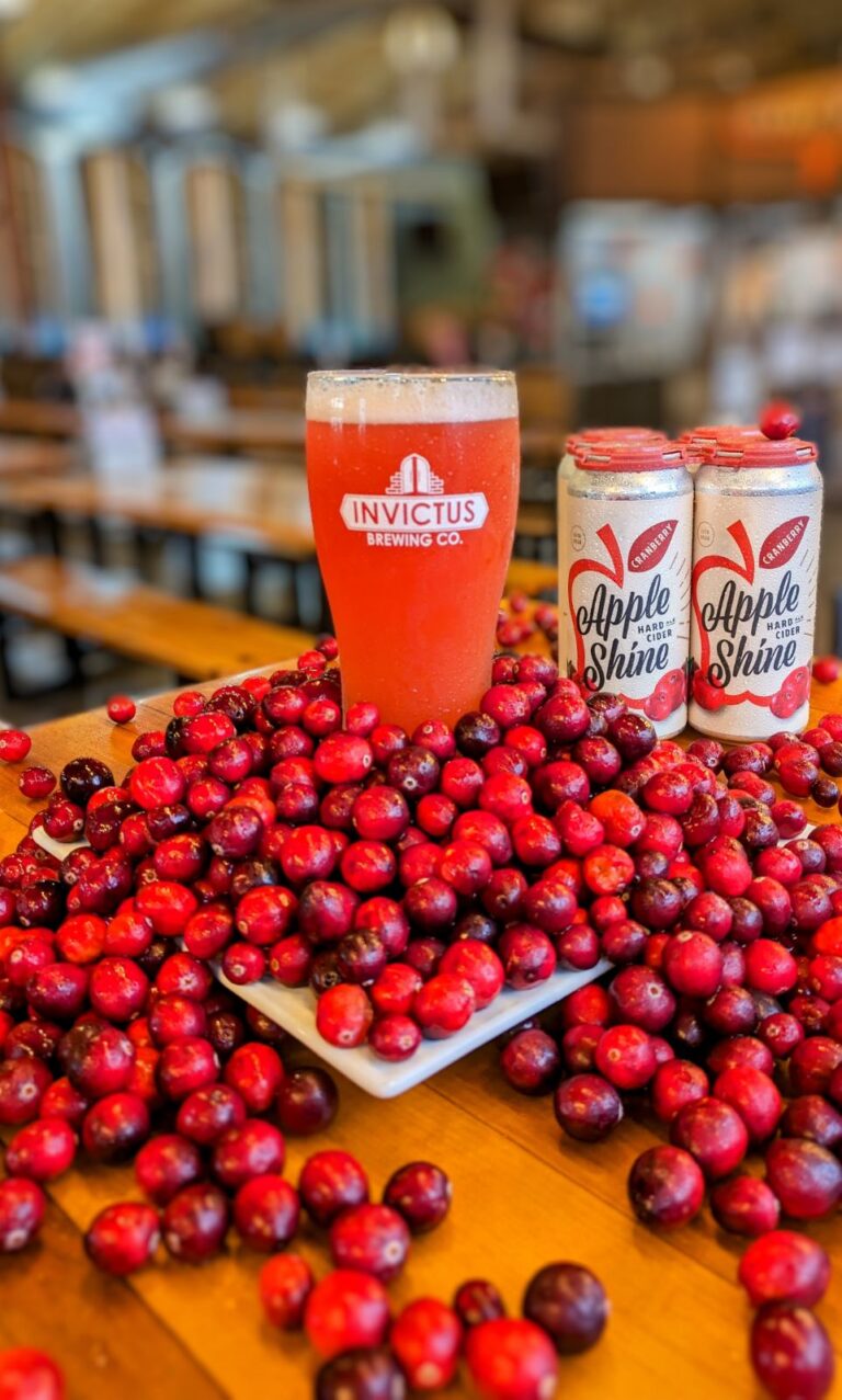 Our Beers – Invictus Brewing Co.