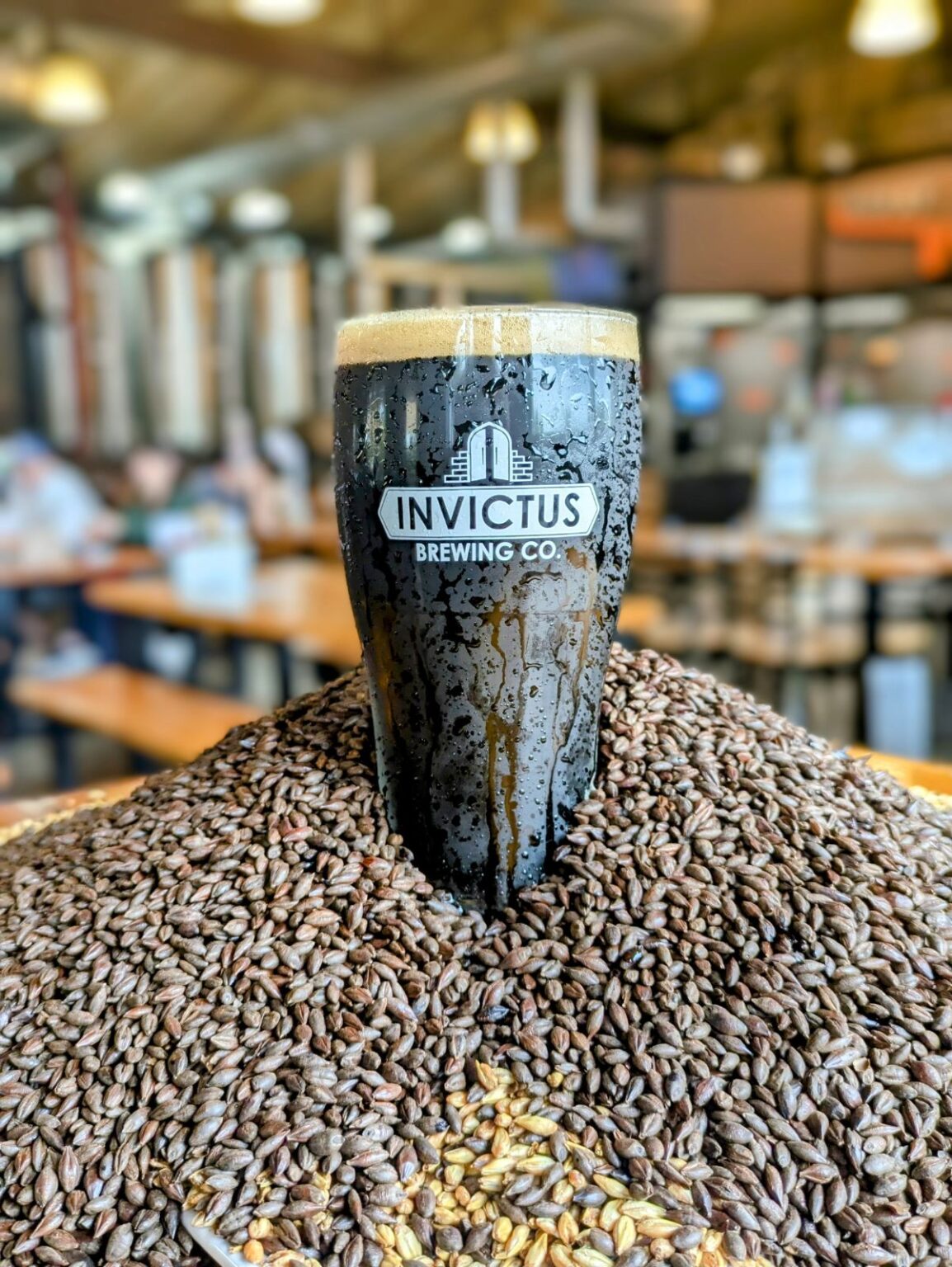 Our Beers – Invictus Brewing Co.