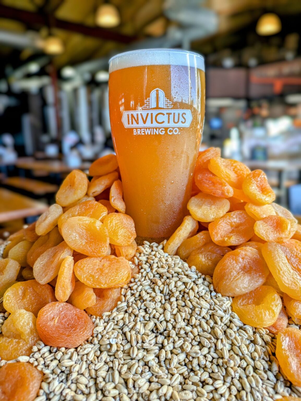 Our Beers – Invictus Brewing Co.