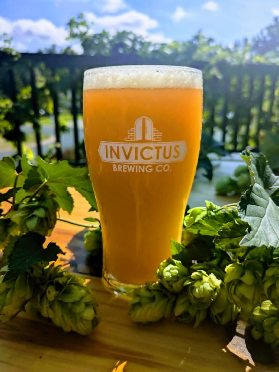 Our Beers – Invictus Brewing Co.